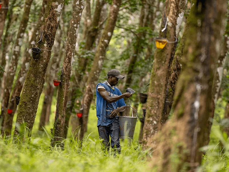 Environment - Yamazen rubber technology development Group Co.,LTD